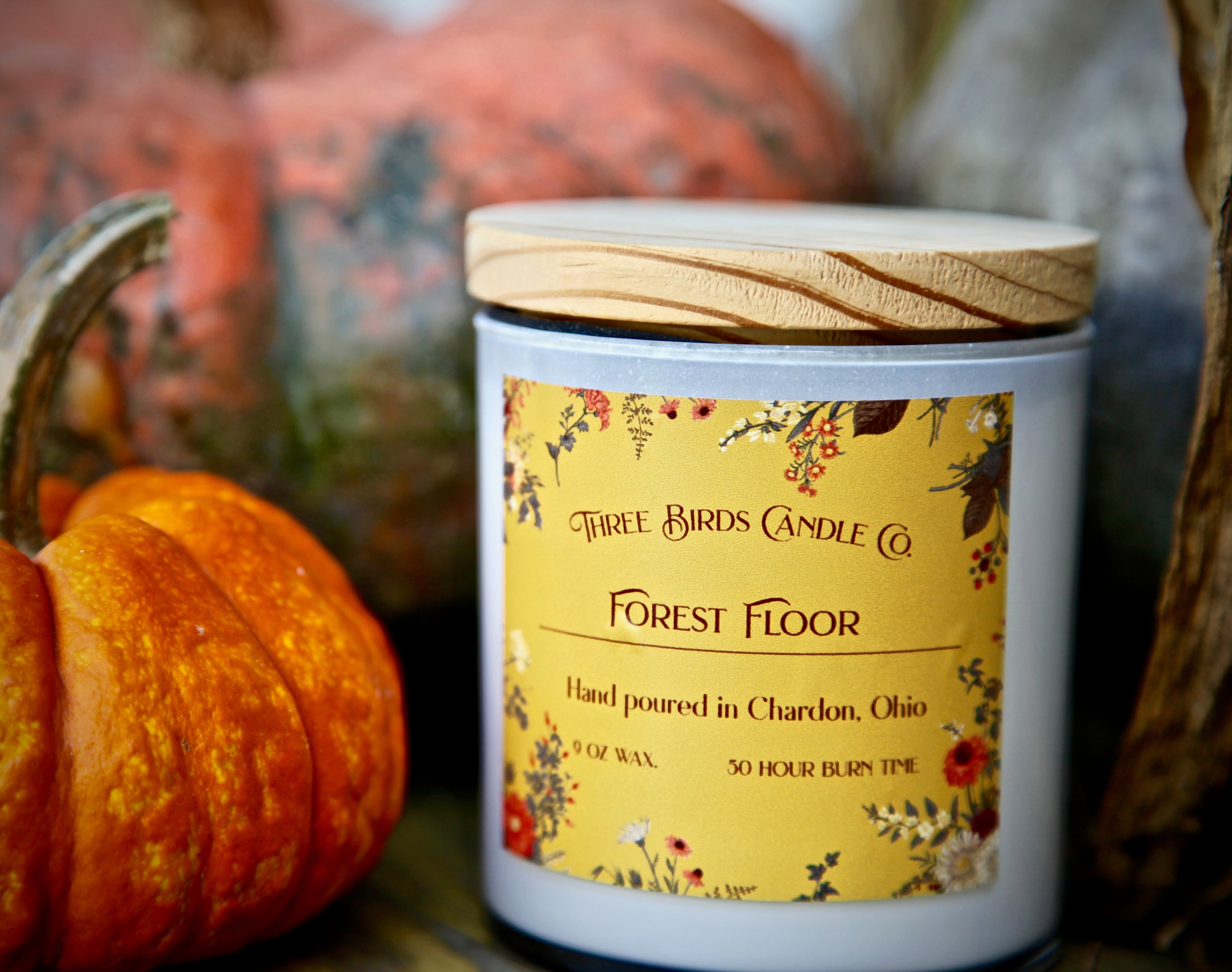 Forest Floor – Midnight Creative